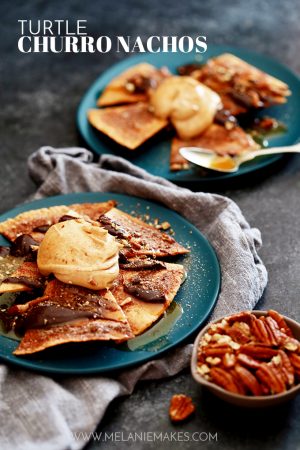 Turtle Churro Nachos - Melanie Makes